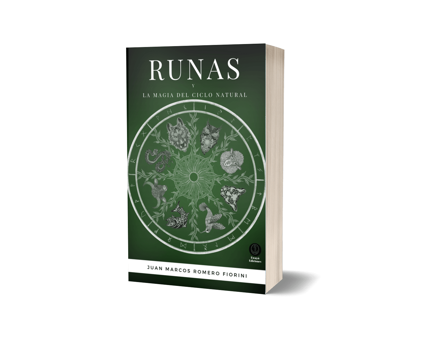 Runa Jera significado, simbolismo, forma de interpretación (Explicación ...